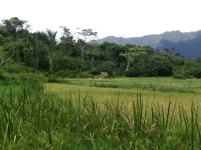 Visiting the SAVA Region of Madagascar