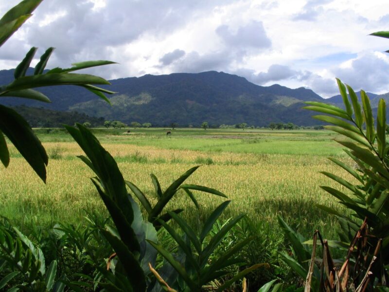 Visiting the SAVA Region of Madagascar