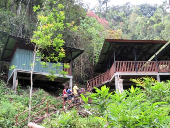 Visiting Marojejy National Park