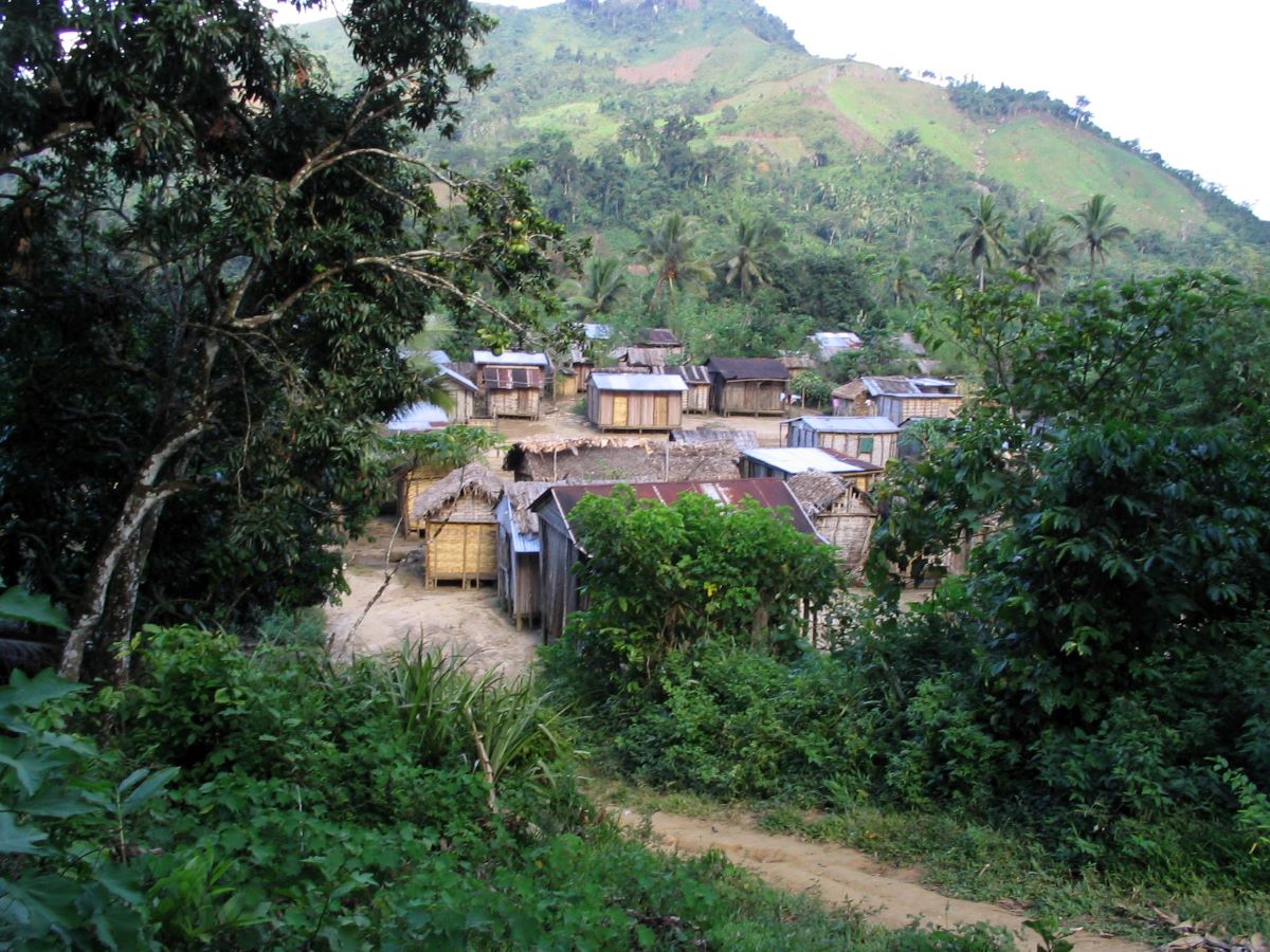 Visiting Marojejy National Park